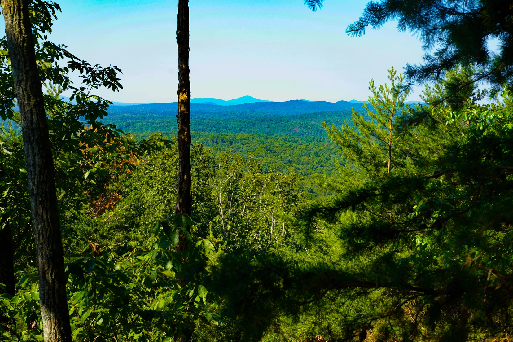 Summit View | One Day Only