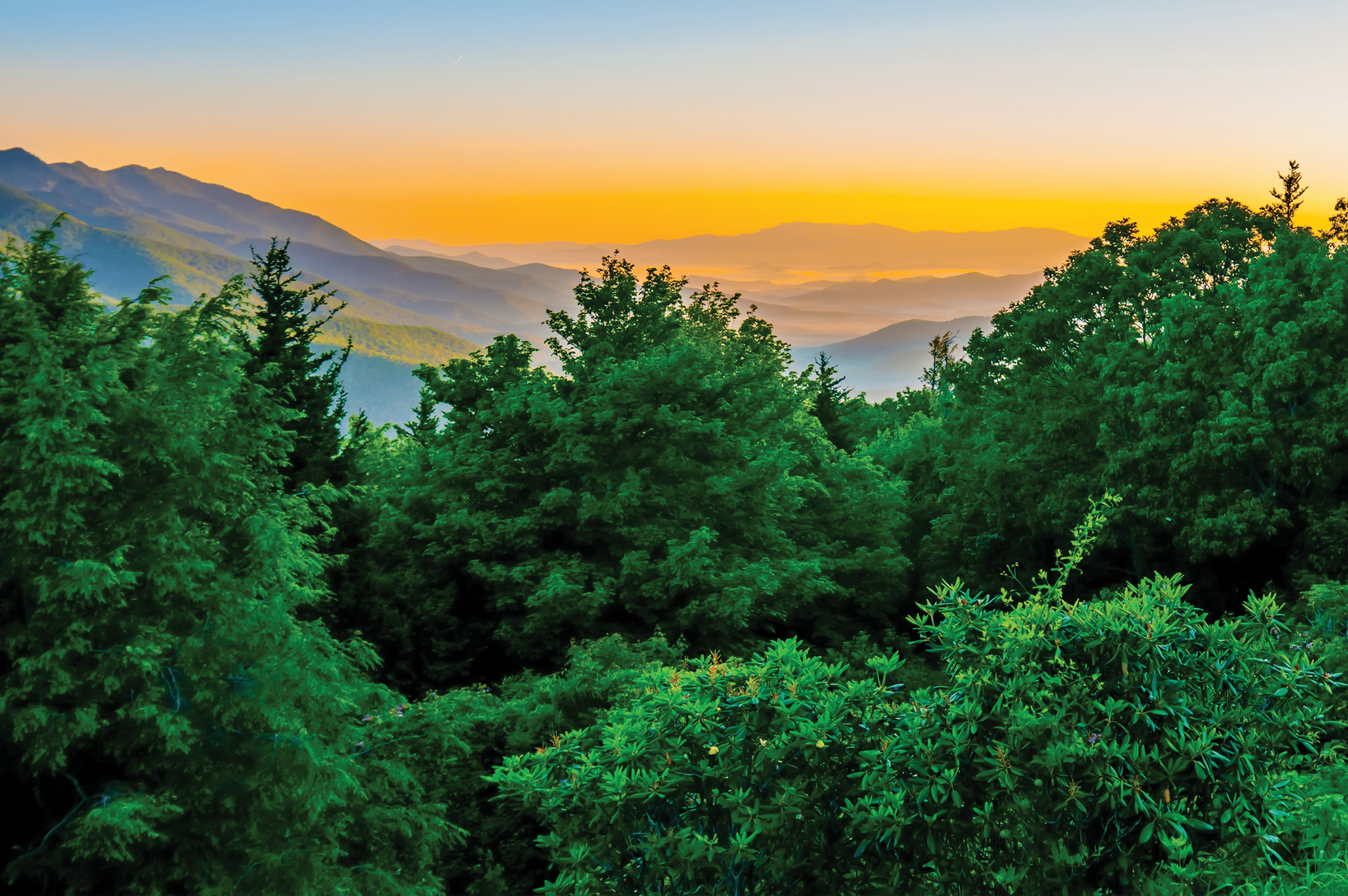 Summit View | One Day Only