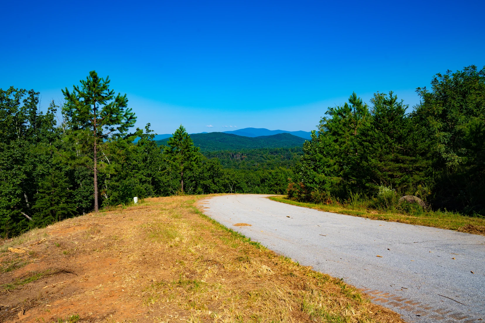 Summit View | One Day Only