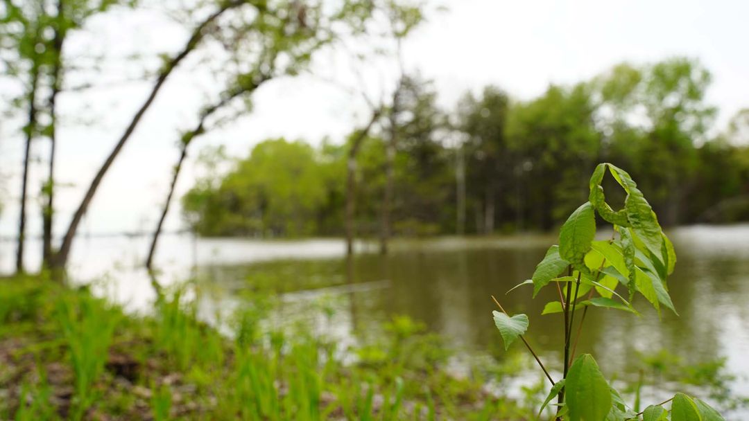 The Peninsula at Bois D'Arc Lake | The Newest Lake in Texas...
