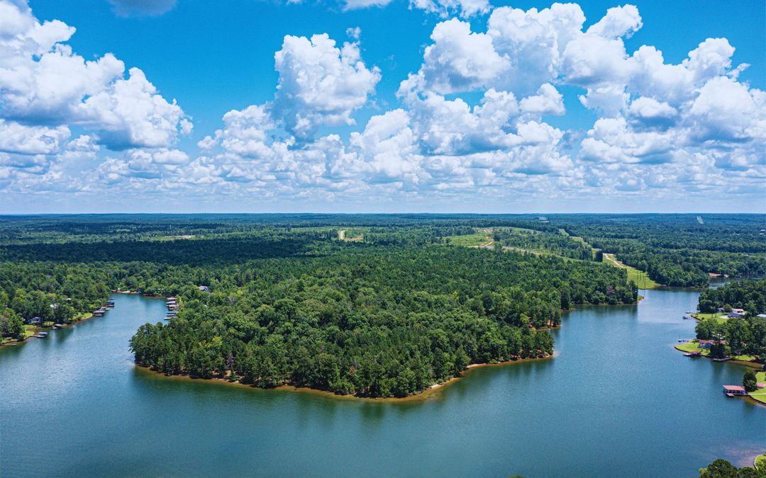 The Falls | One Day Only