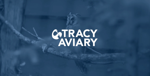 Tracy Aviary Case Study | Underbelly