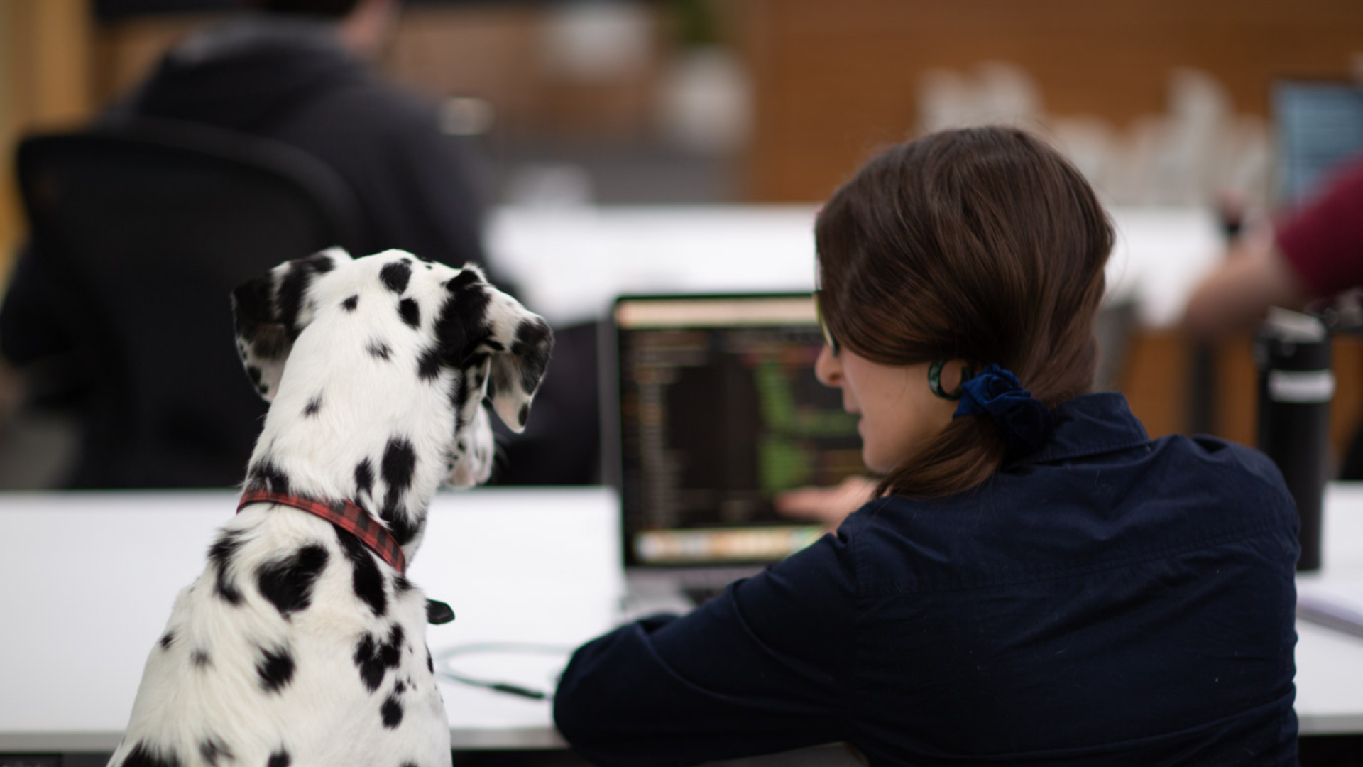 How to Use React's Refs for DOM Manipulation