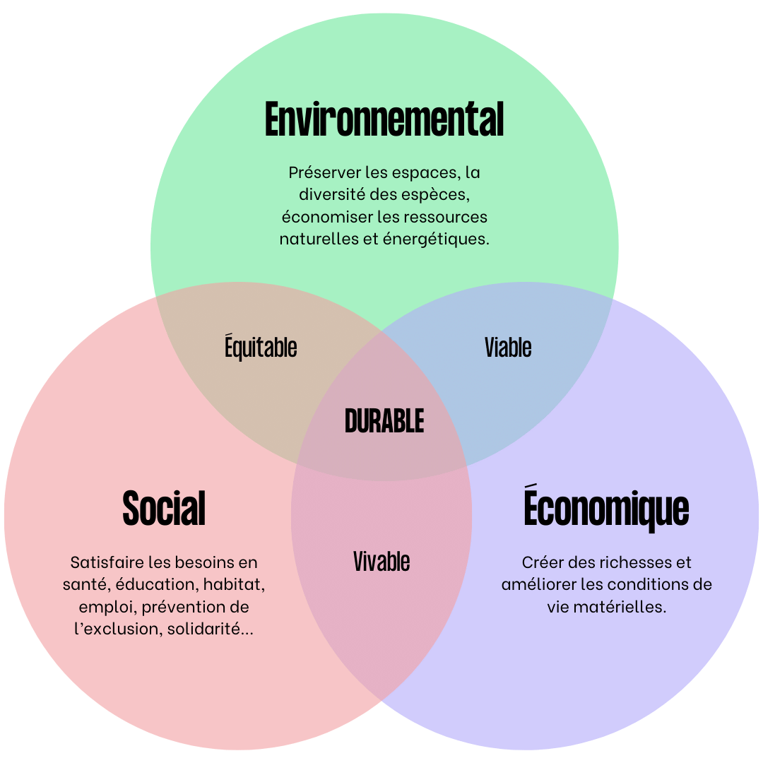 3 exemples d’actions de développement durable en entreprise pour engager son équipe