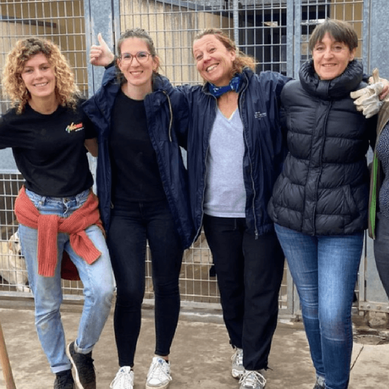 Les retours d'expérience et avis clients sur Wenabi