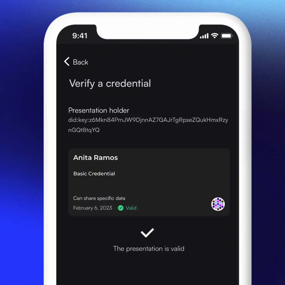 Verifiable Credentials: The Ultimate Guide 2024