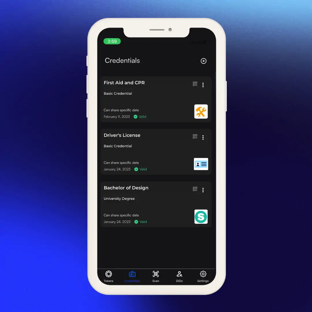 Self-Sovereign Identity: The Ultimate Guide 2024