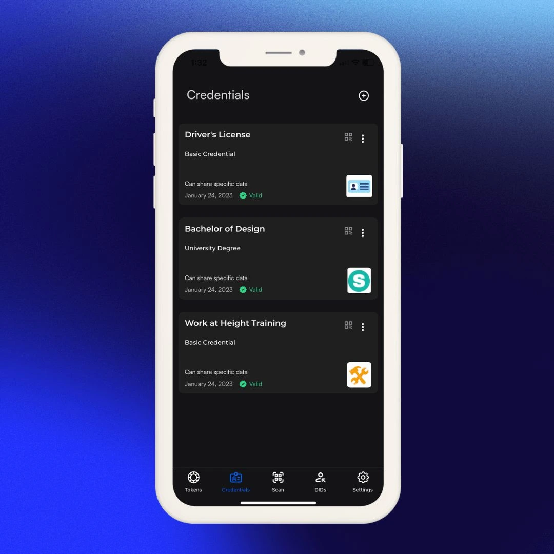 Blockchain Verification: Instant, Secure, and Efficient