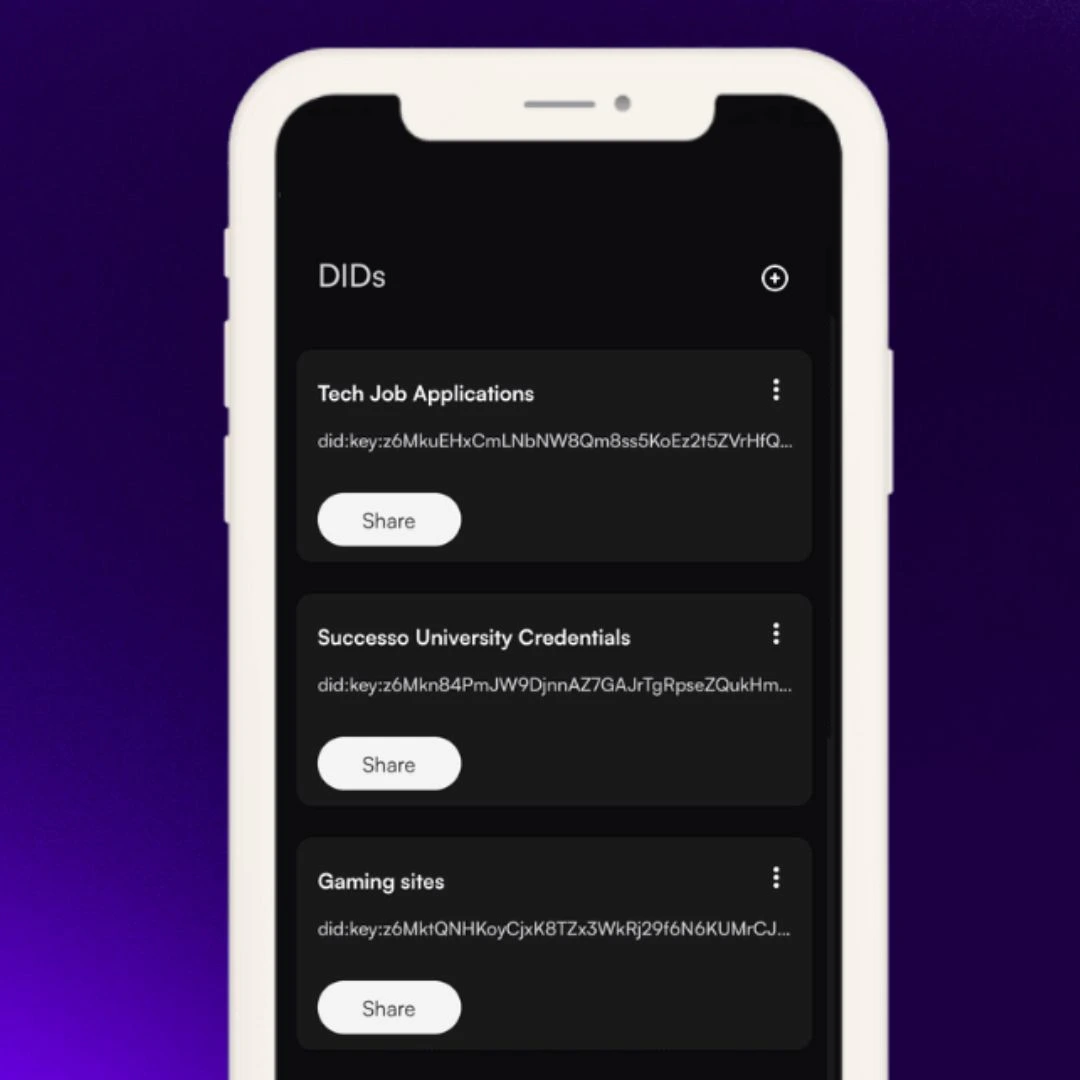 Blockchain Verification: Instant, Secure, and Efficient