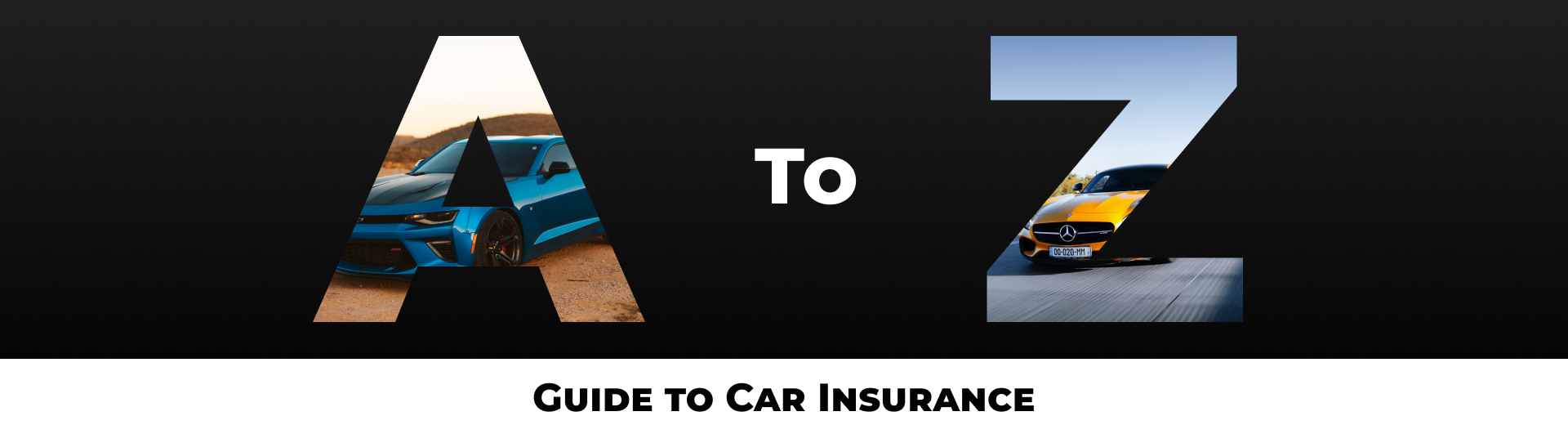 A Complete A-Z Pineapple Guide on All Things Comprehensive Car ...