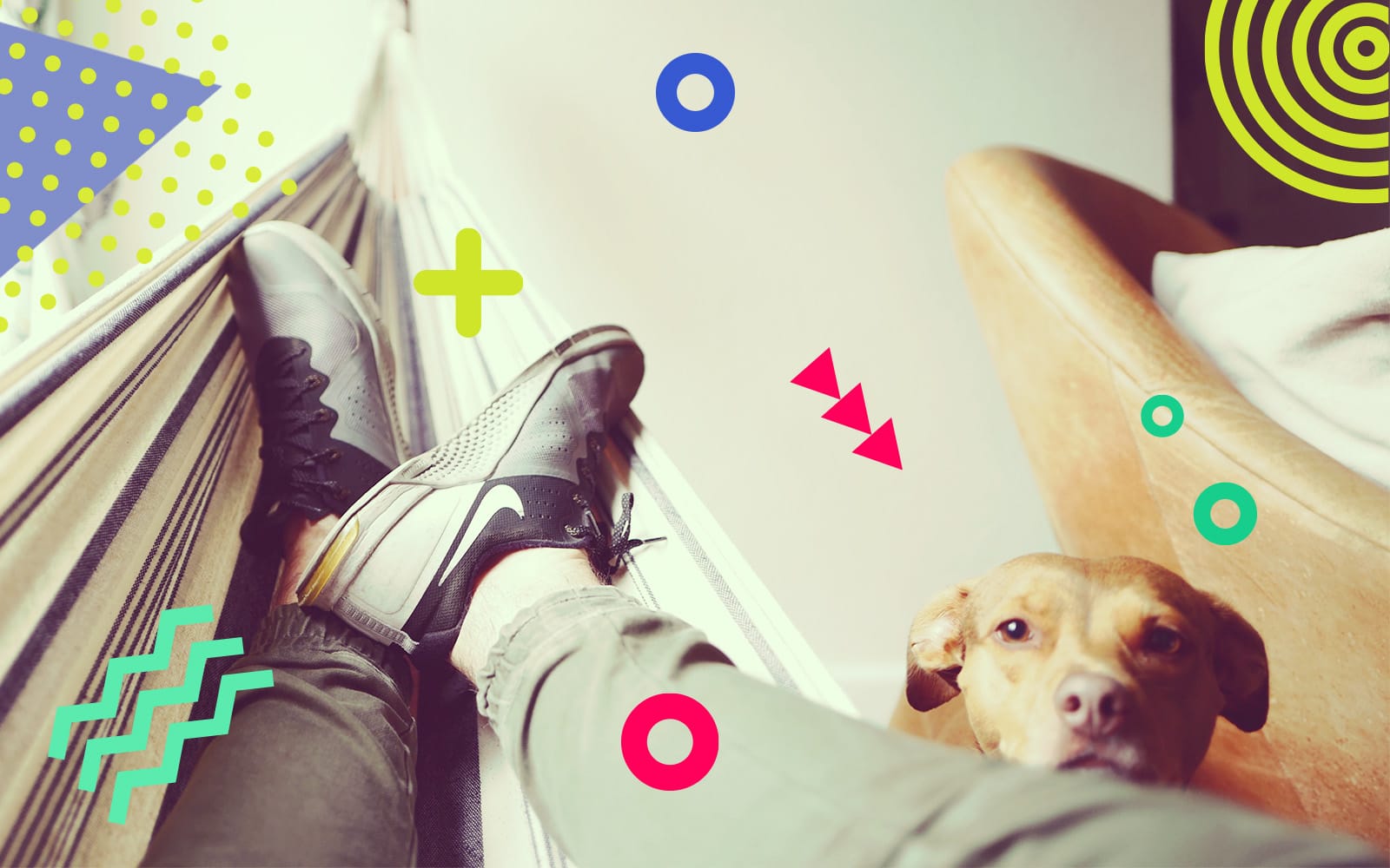 Streamlined setup, enhanced navigation, applicant improvements ...