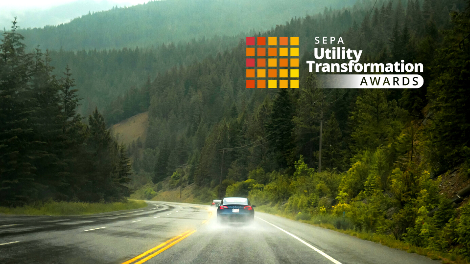 WeaveGrid named SEPA Utility Transformation Partner of the Year | WeaveGrid