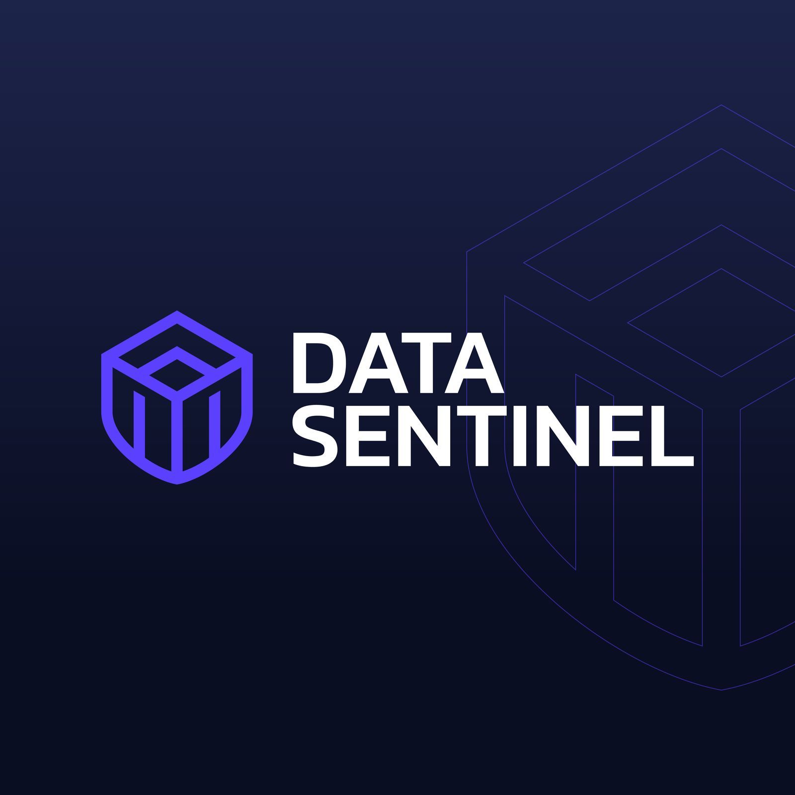 Data Sentinel x KHULA™ - Branding & Webflow Design