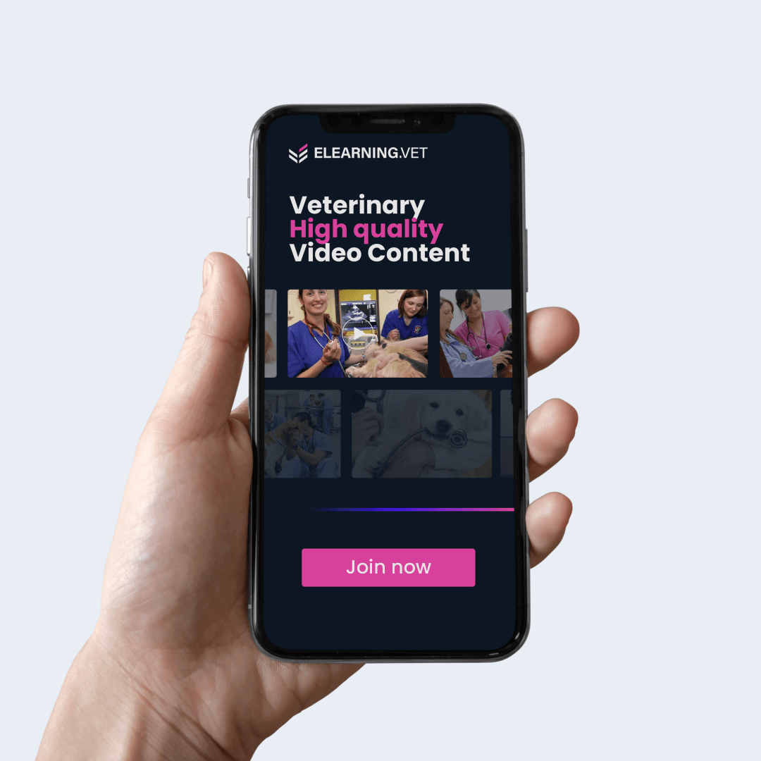 ELEARNING.VET x KHULA™ - Branding & Webflow Design