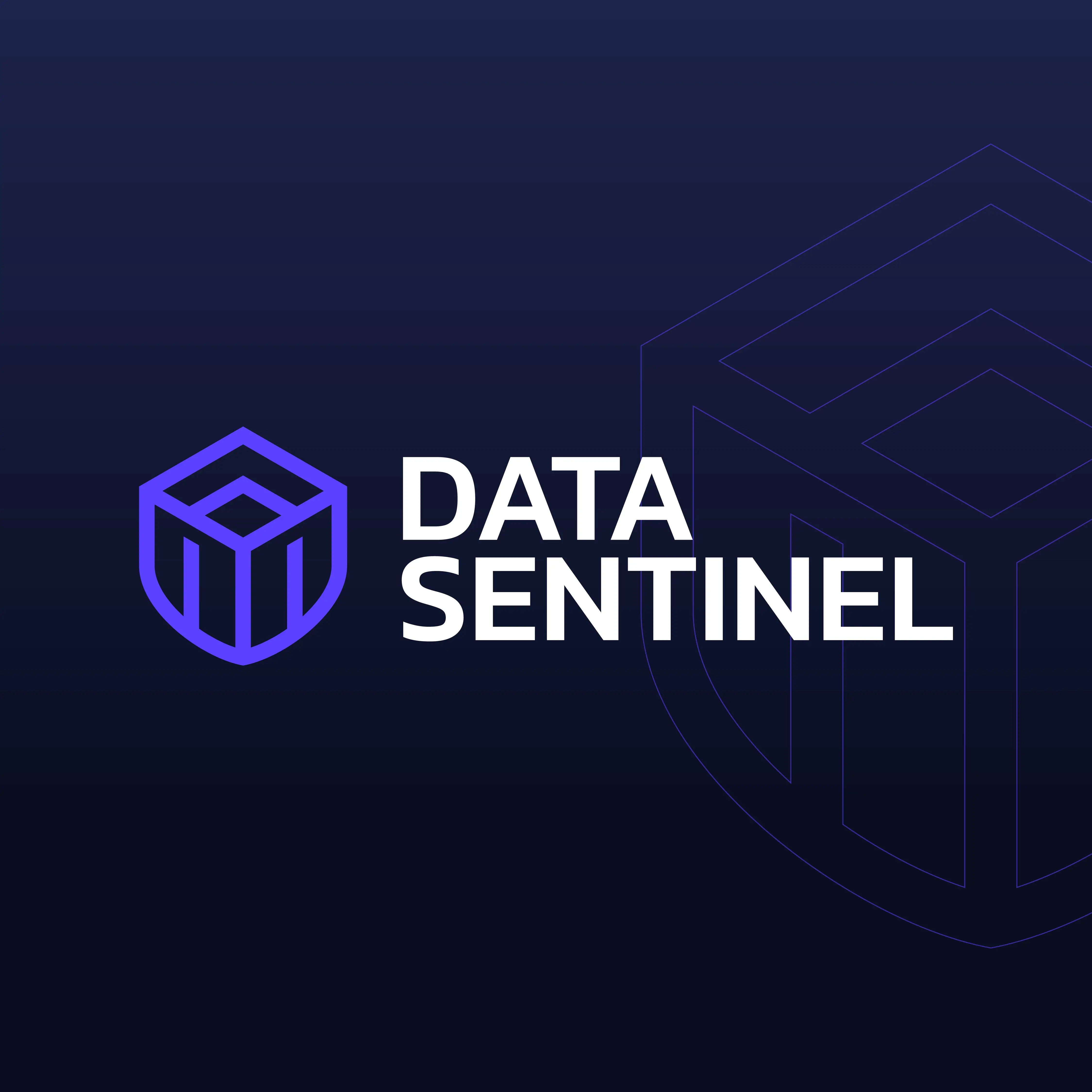 Data Sentinel x KHULA™ - Branding & Webflow Design