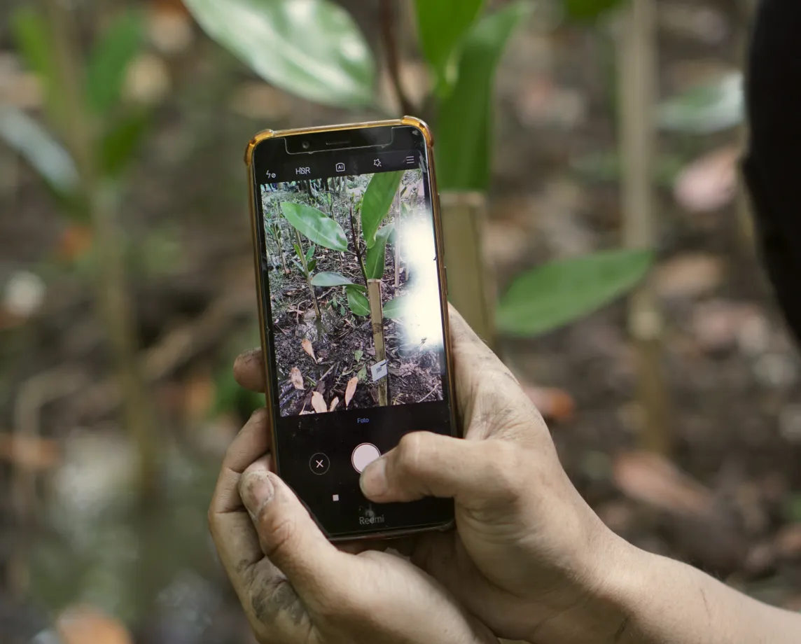 Jejakin - Carbon Management Platform