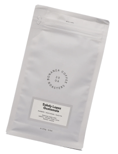 Ace Studio | Web Design & Webflow Expert