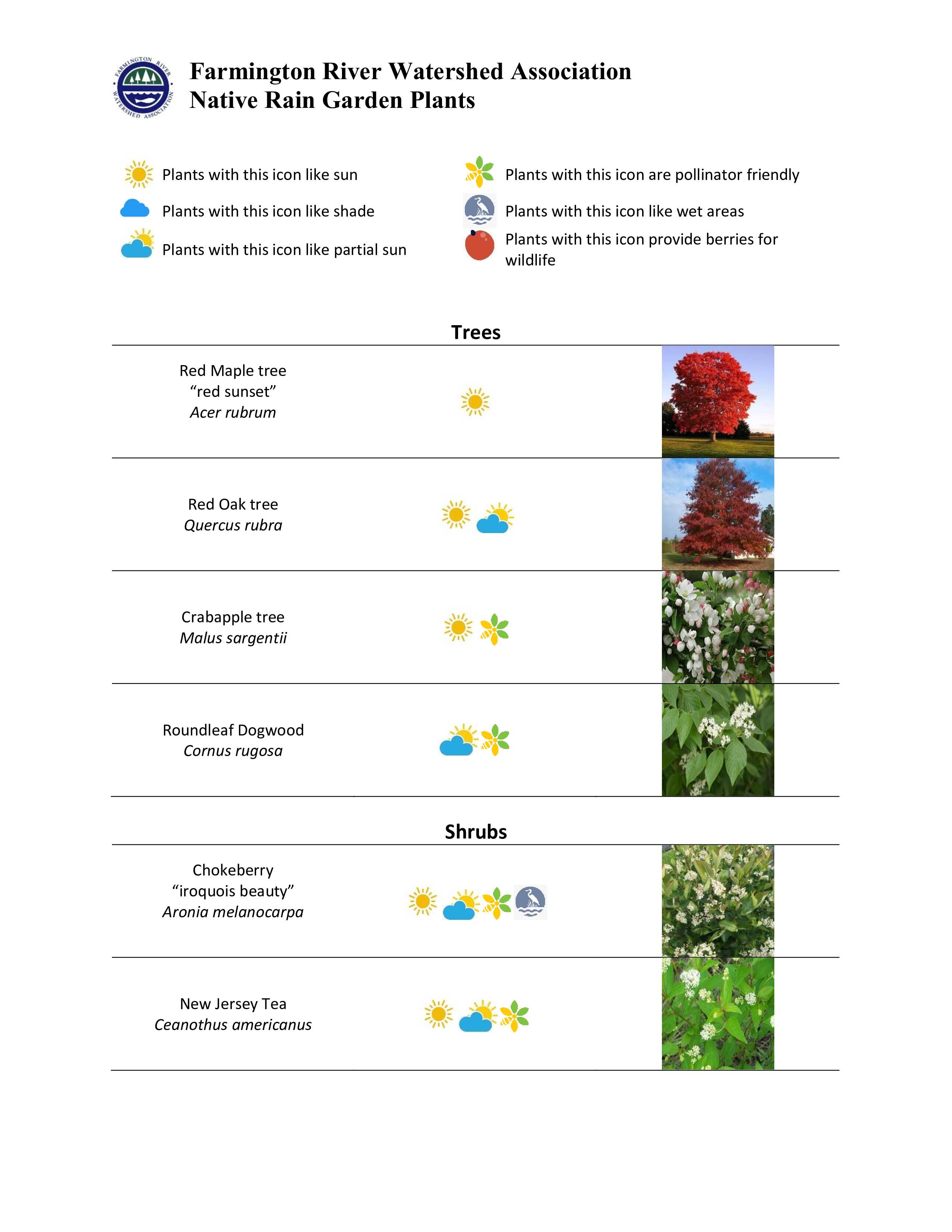 Conservation Commission | Native Rain Garden Plants