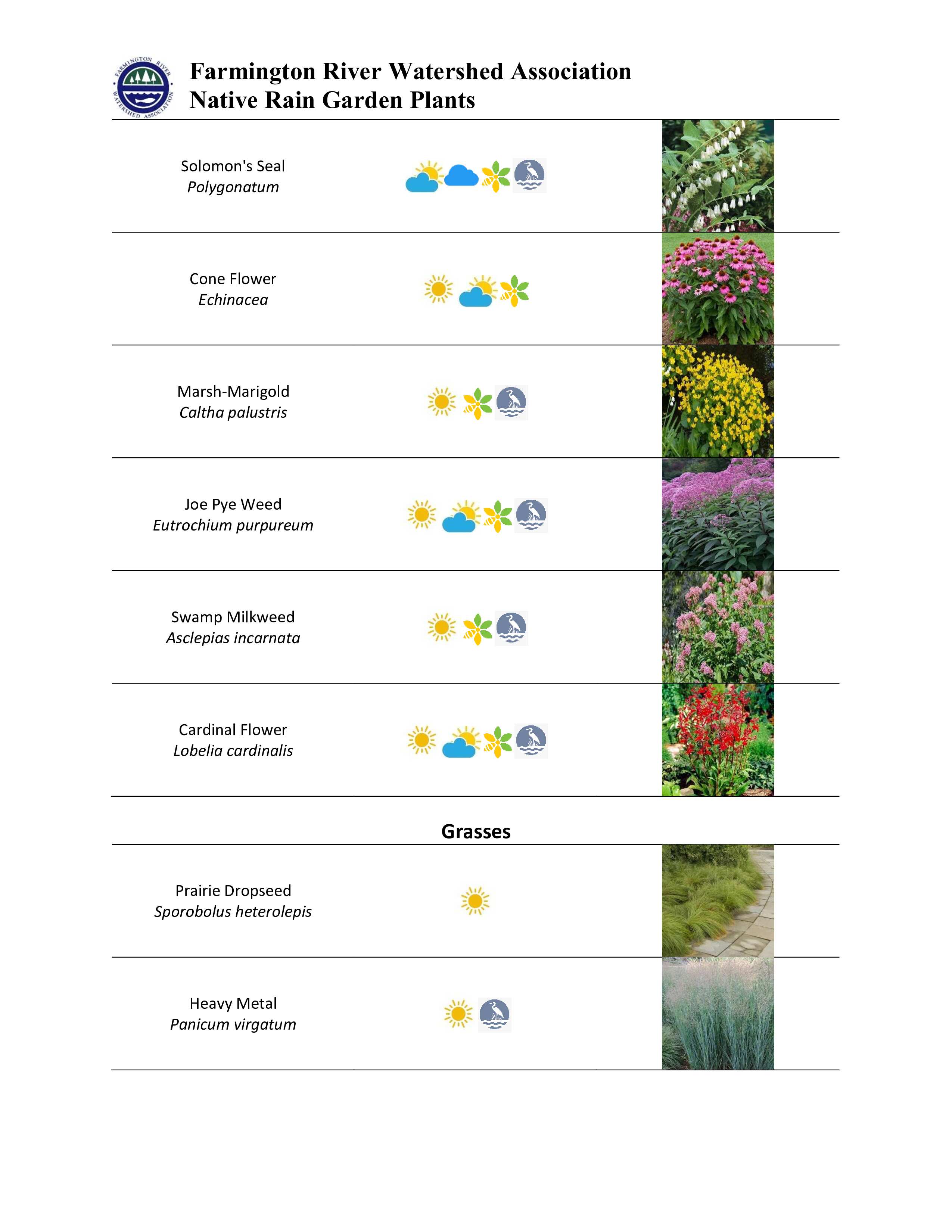 Conservation Commission | Native Rain Garden Plants
