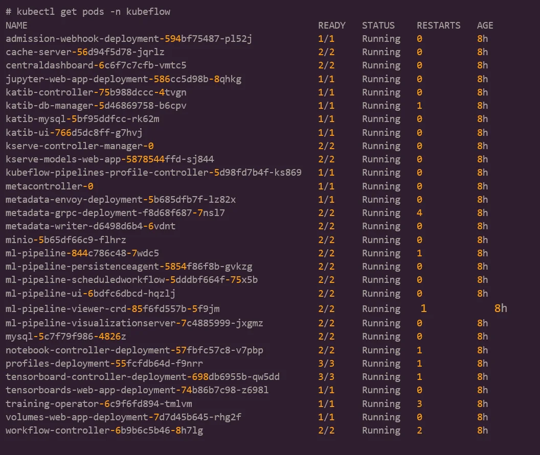 How to install and configure Kubeflow on Symcloud Platform | Cloud Storage | Machine Learning