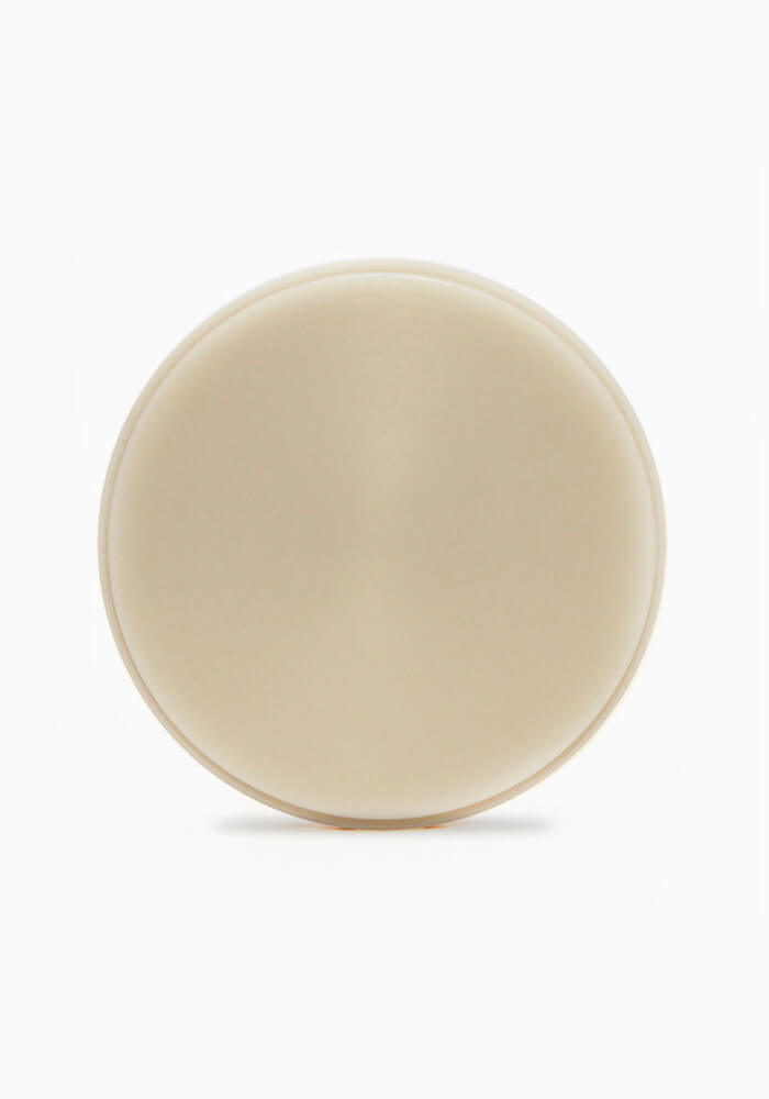 PMMA Multilayer Disc - Vannini Dental Industry