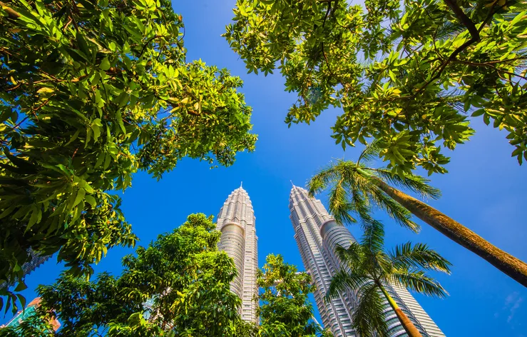 Lets talk about Pyrolysis, Green Energy, Biochar and Carbon Removal | Onnu