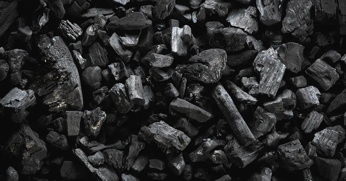 What is biochar and how can it play a role in the circular economy? | Onnu