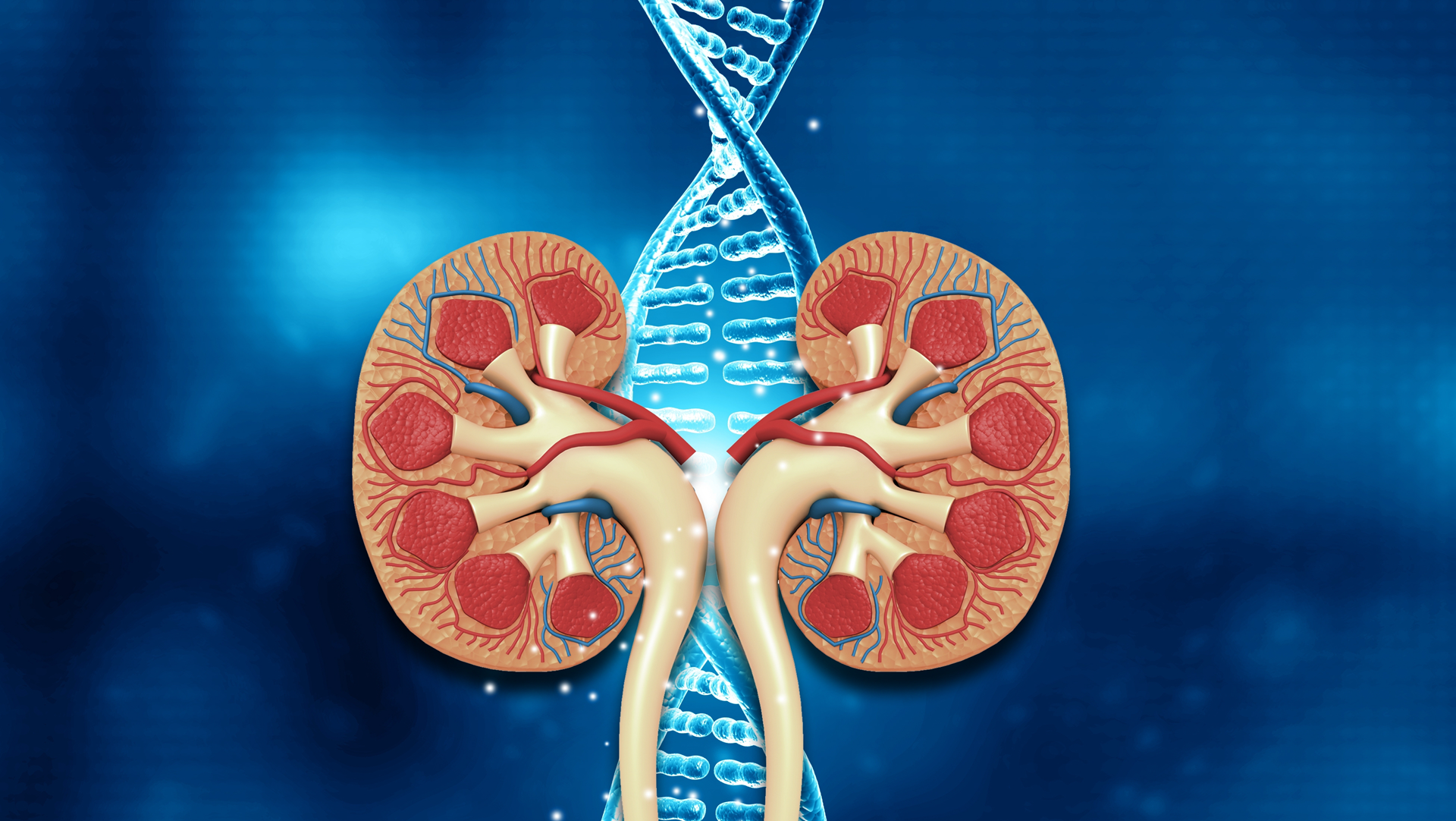 Genetic Testing in Kidneys: Identifying the Cause and Improving Treatment