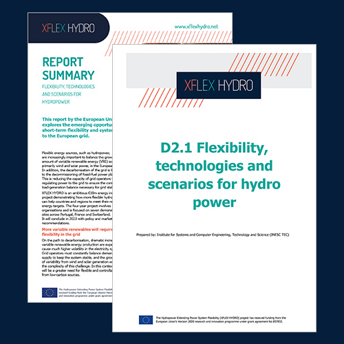 Flexibility, technologies and scenarios for hydropower report