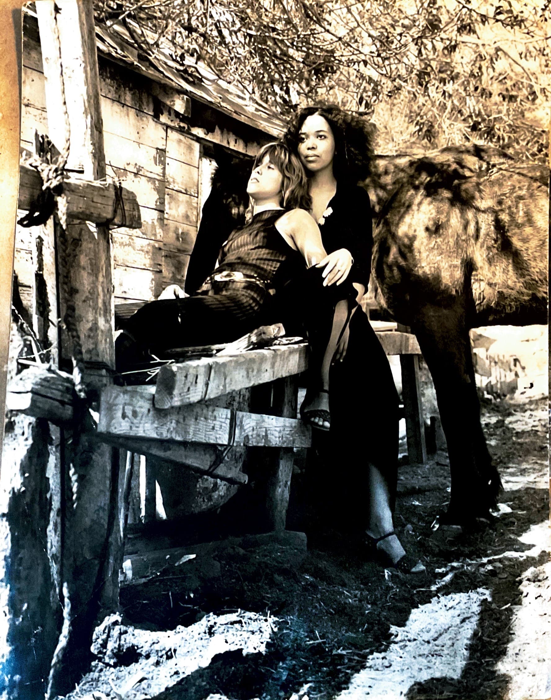 I Always Loved Love: Alison Mills Newman in Conversation with Lynell George