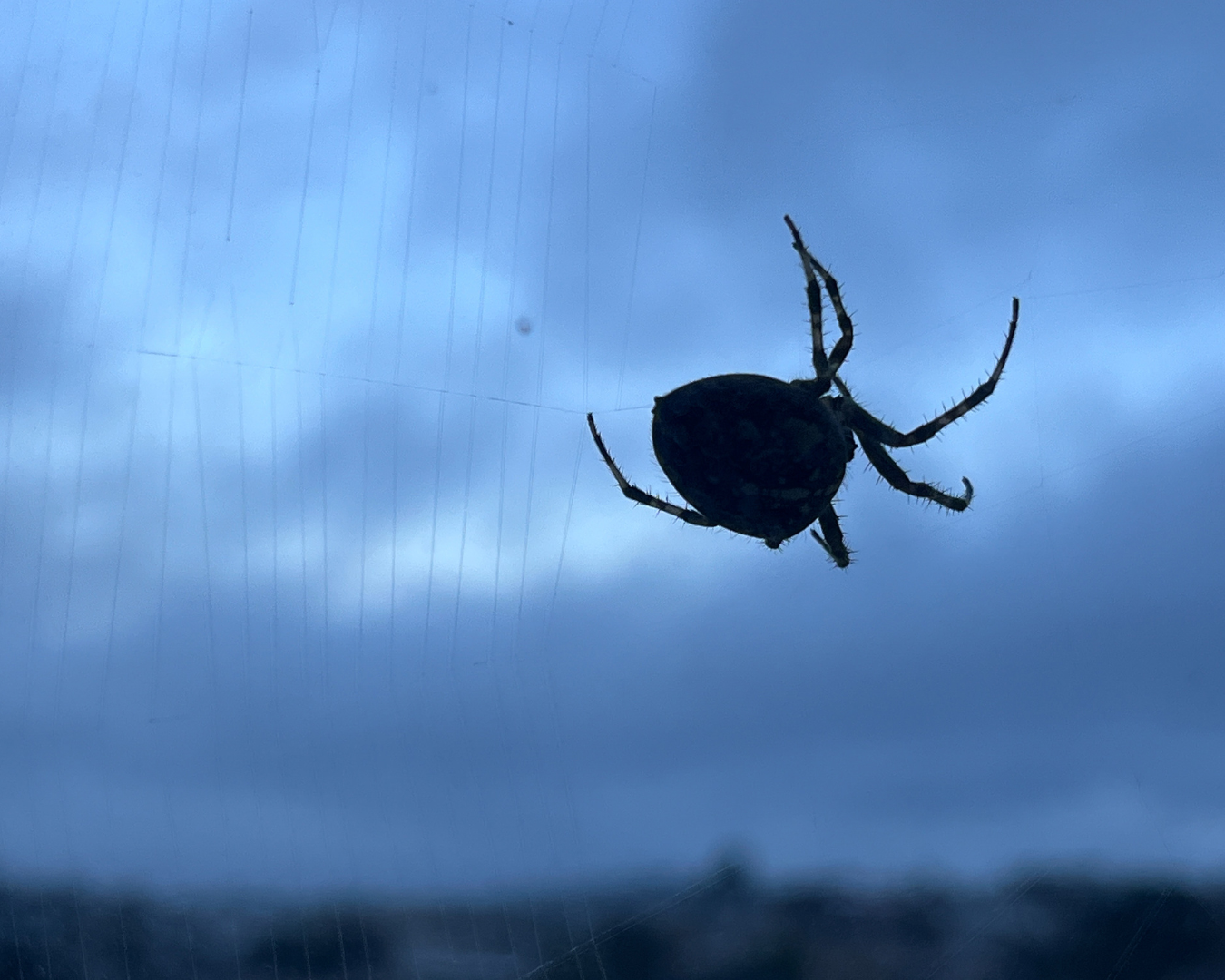 A Body That’s All Surface