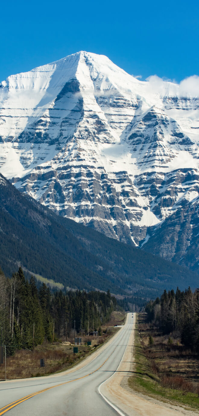 Our Group | McManes Automotive