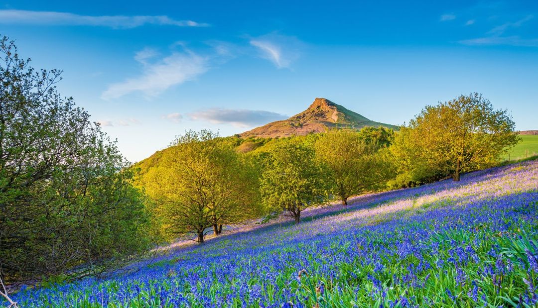 Downing Institutional Investments | Home