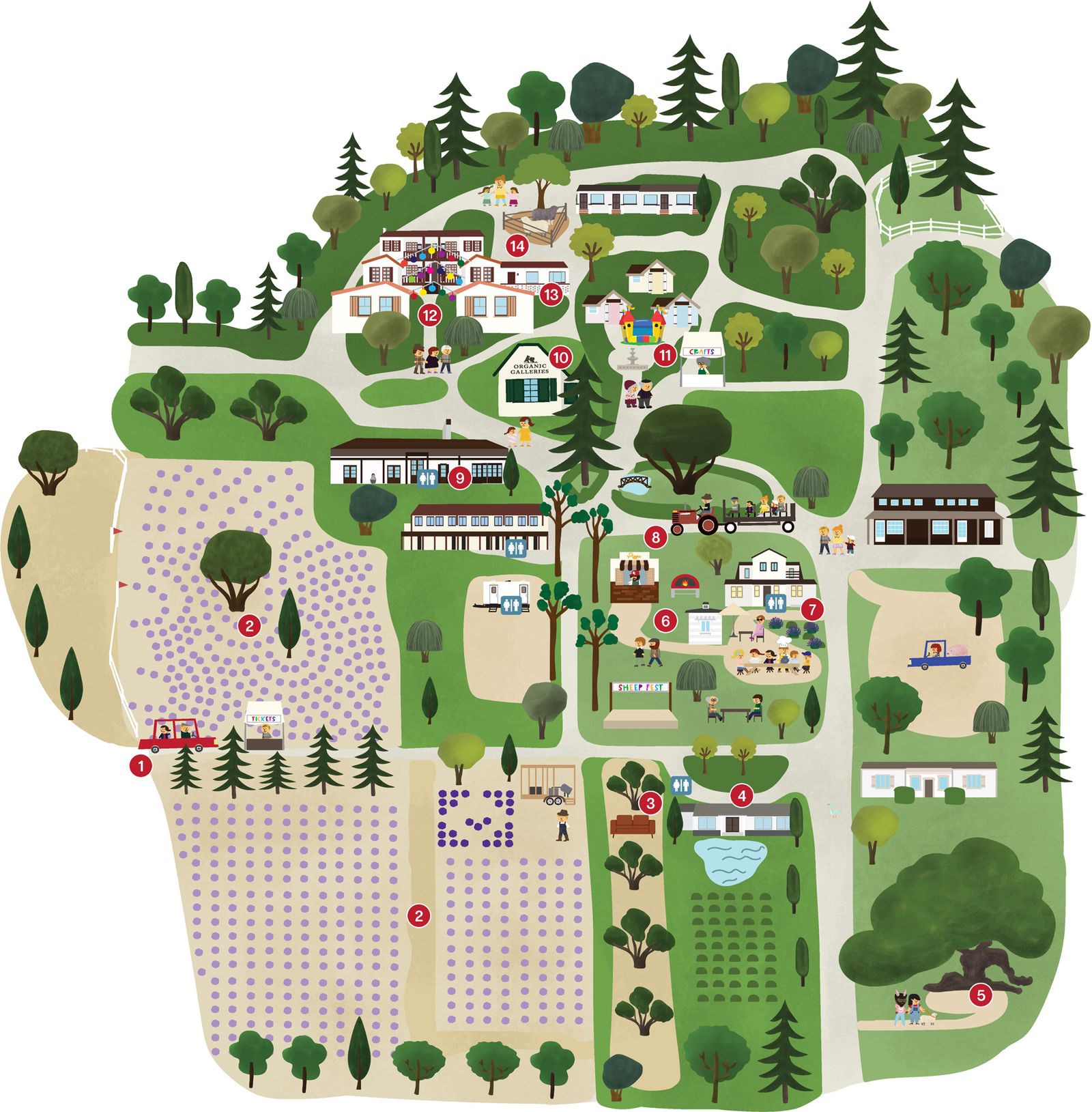 Sheep Shearing Festival at 123 Farm