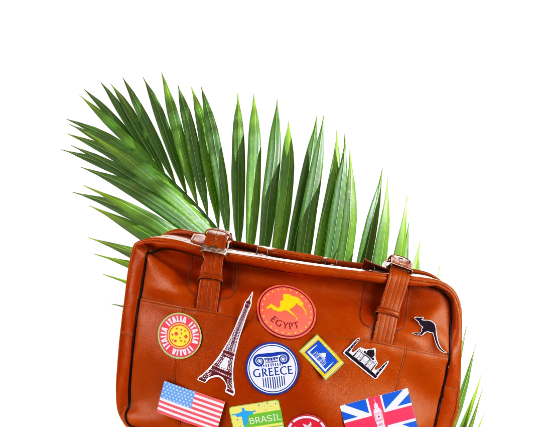 Out-of-Office Message Generator | Powered by OrgaNice