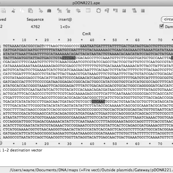 About | Asimov — Intelligent Design