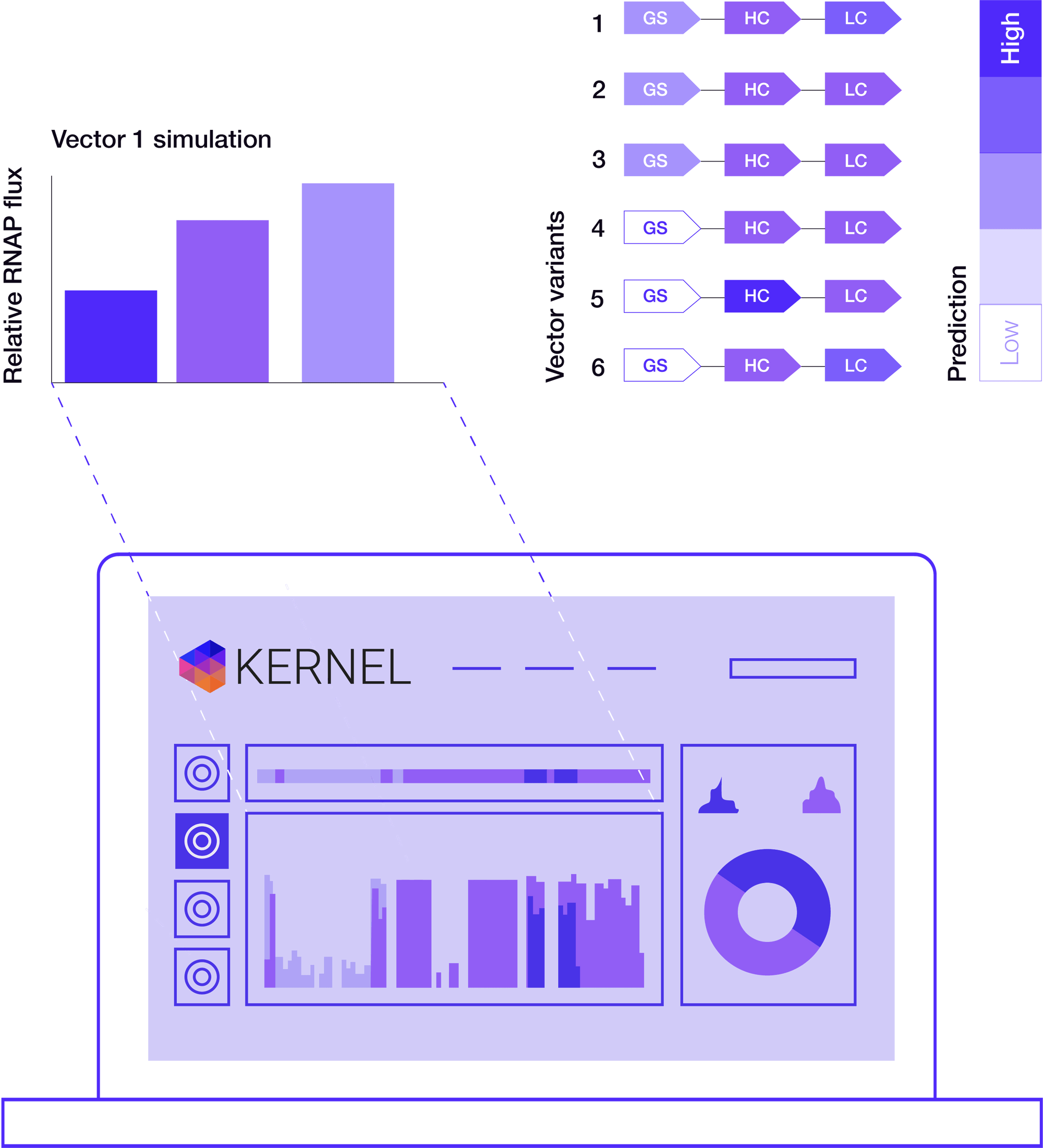 CHO Edge Expression System | Asimov