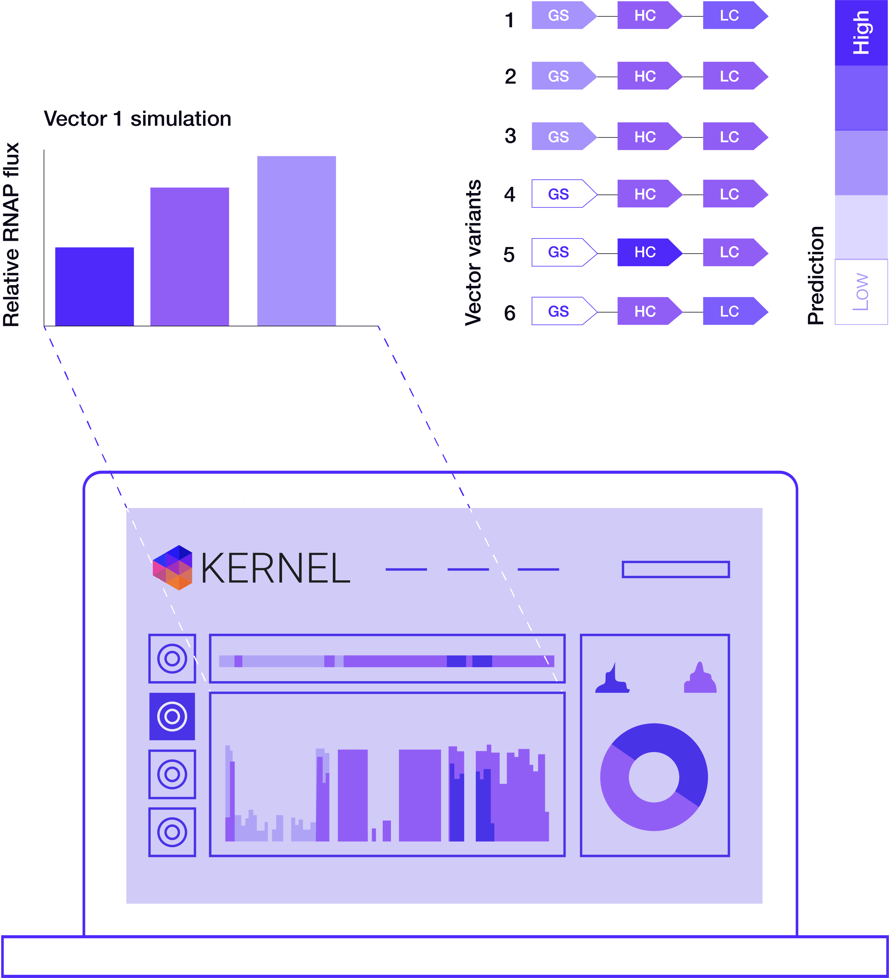 CHO Edge Expression System | Asimov