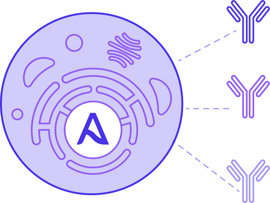 CHO Edge Expression System | Asimov