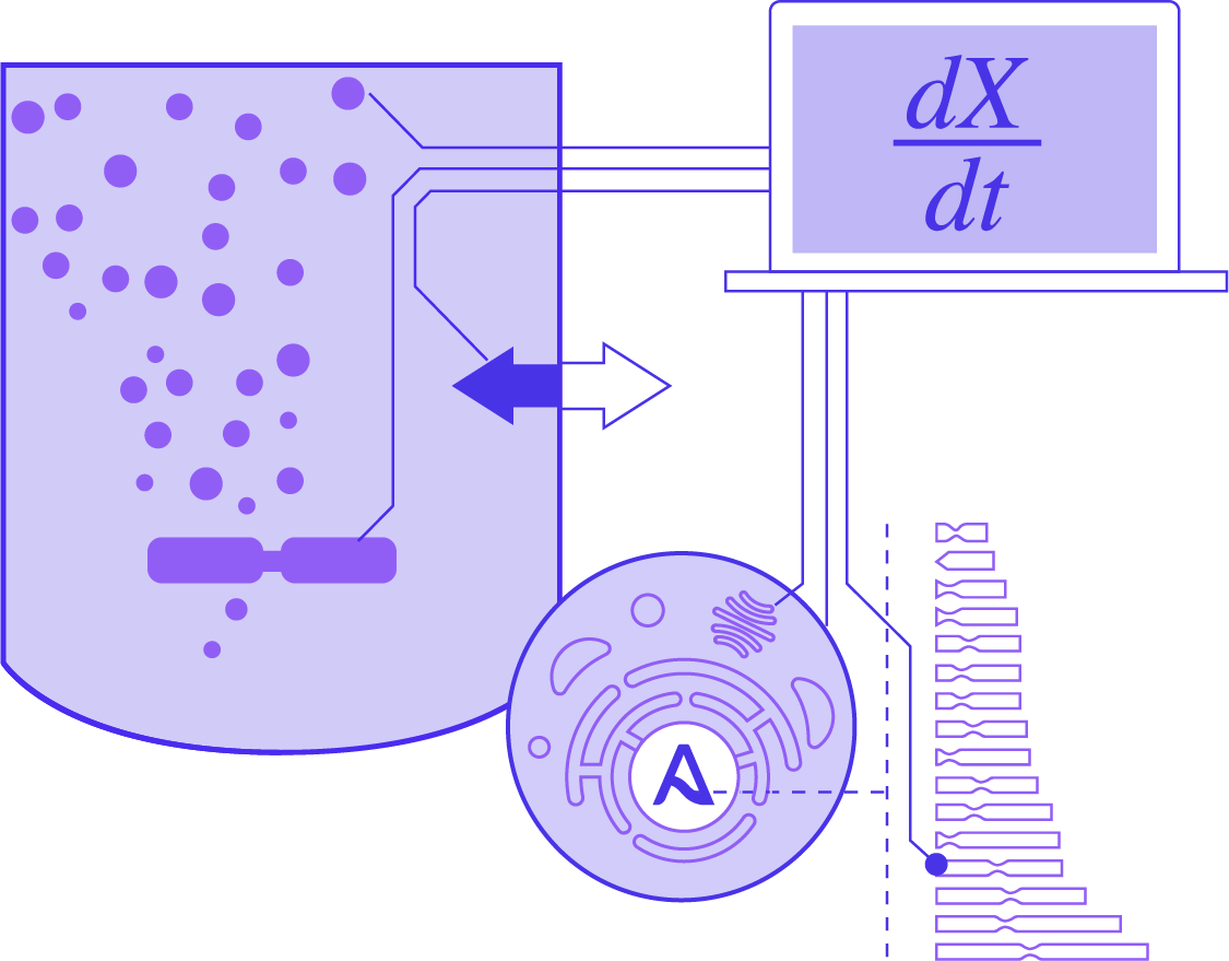 CHO Edge Expression System | Asimov