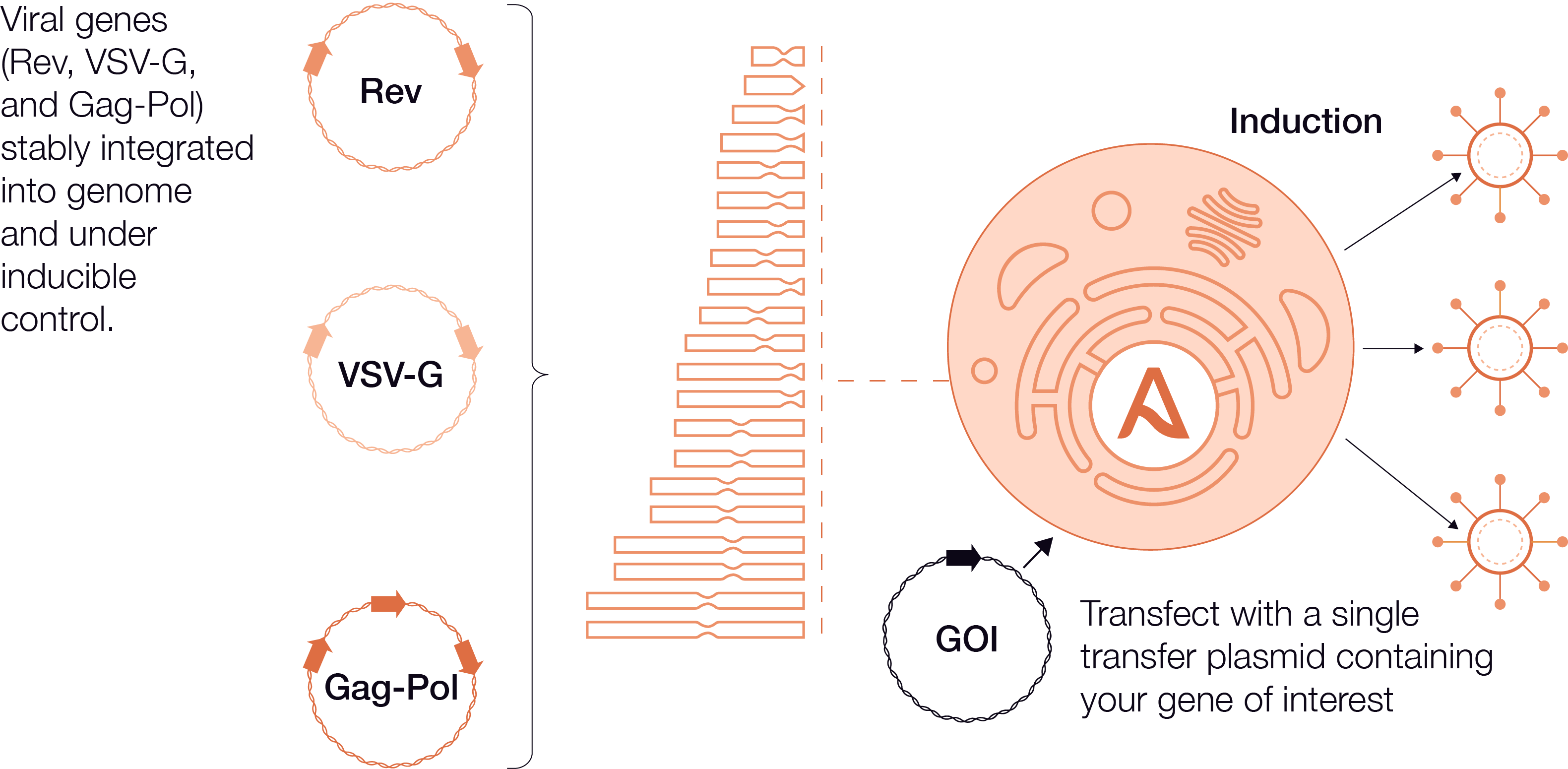 Asimov | LV Edge System