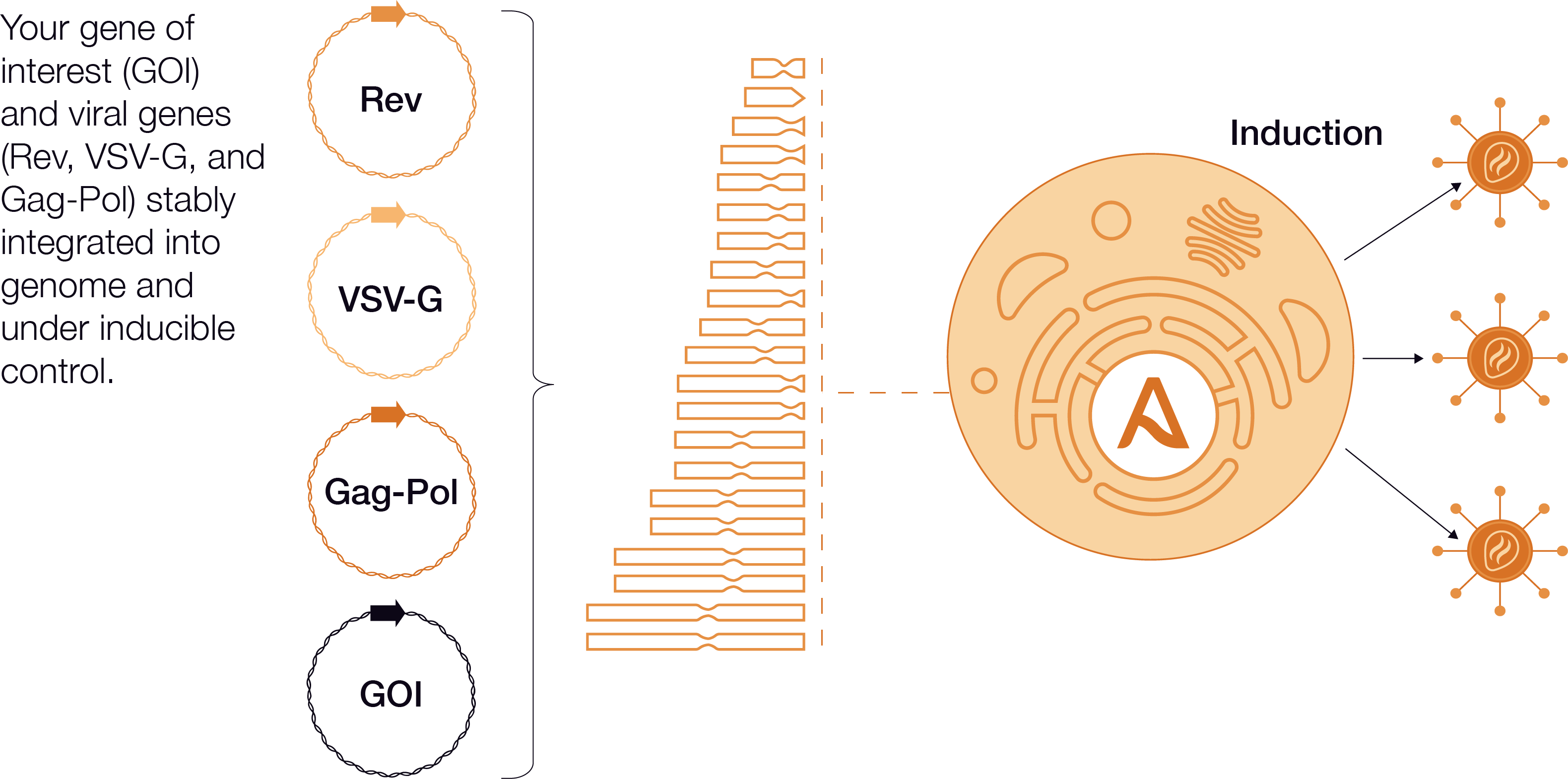 Asimov | LV Edge System