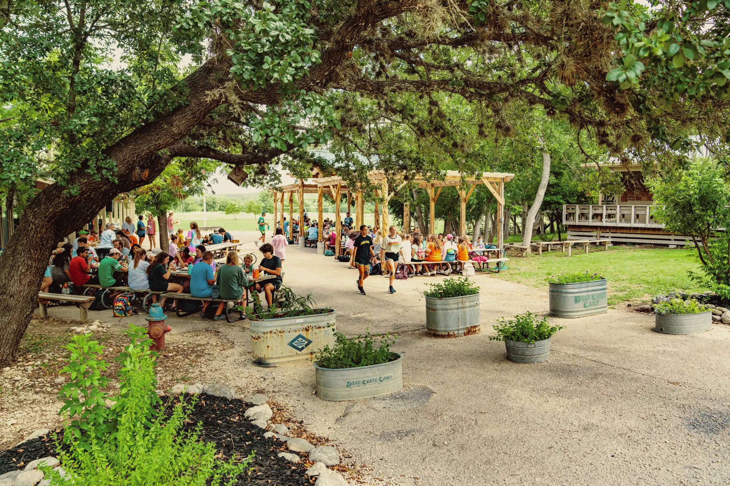Camp Grounds