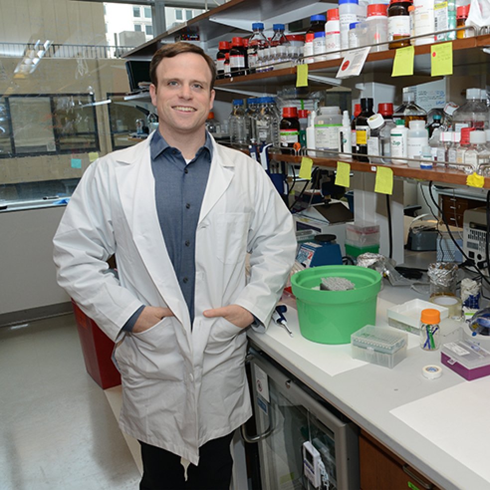 Dropping the "Most Sh*ttiest NFT" with Matty Mo, Ara Katz, And Dr. Christopher Mason: What A ...