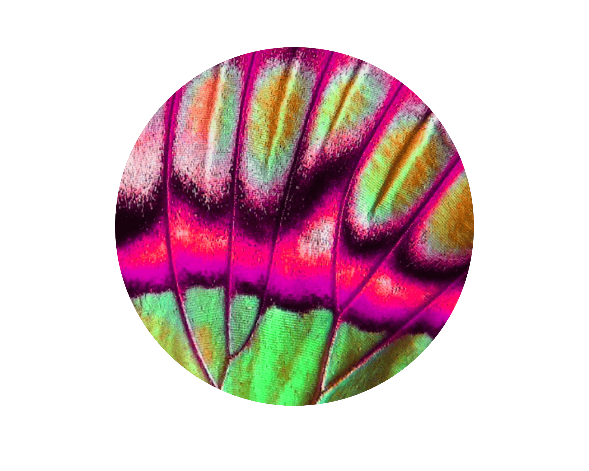 Chancey Bridges | Creative Portfolio | Home