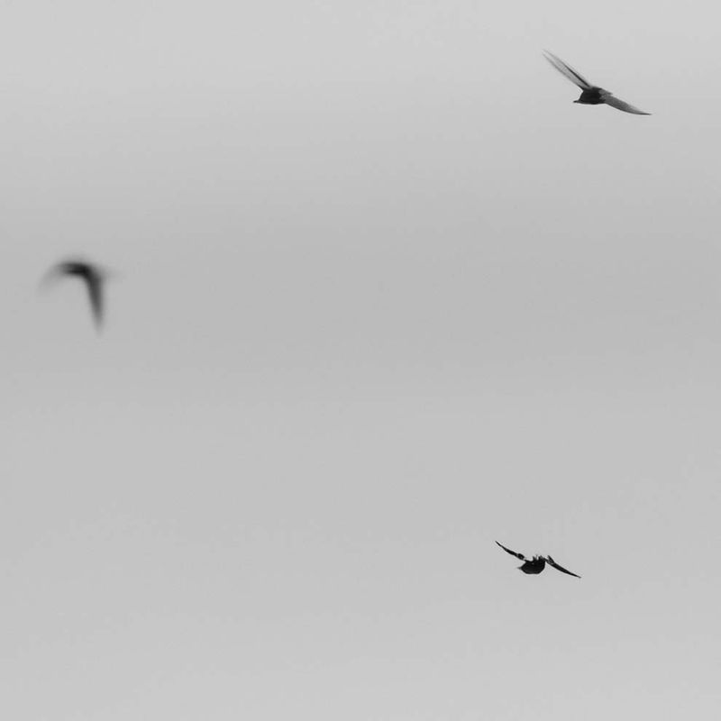 Exulansis – The Dictionary of Obscure Sorrows