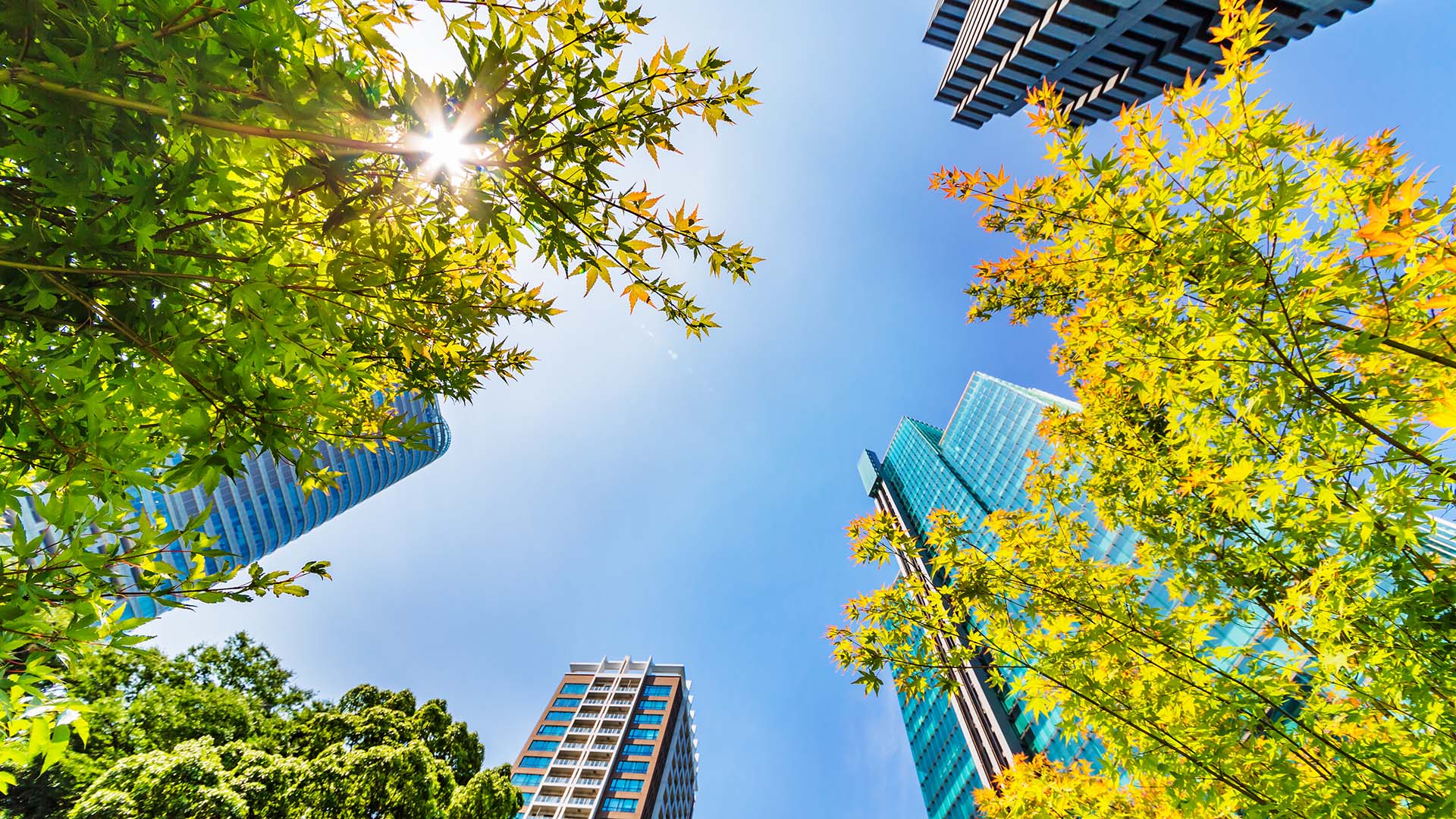 Low Carbon Materials - Helping the Construction Sector Reach Net Zero