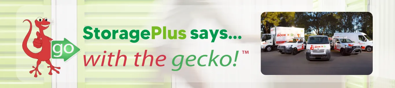 Go With The Gecko | Storage Plus Kingsgrove