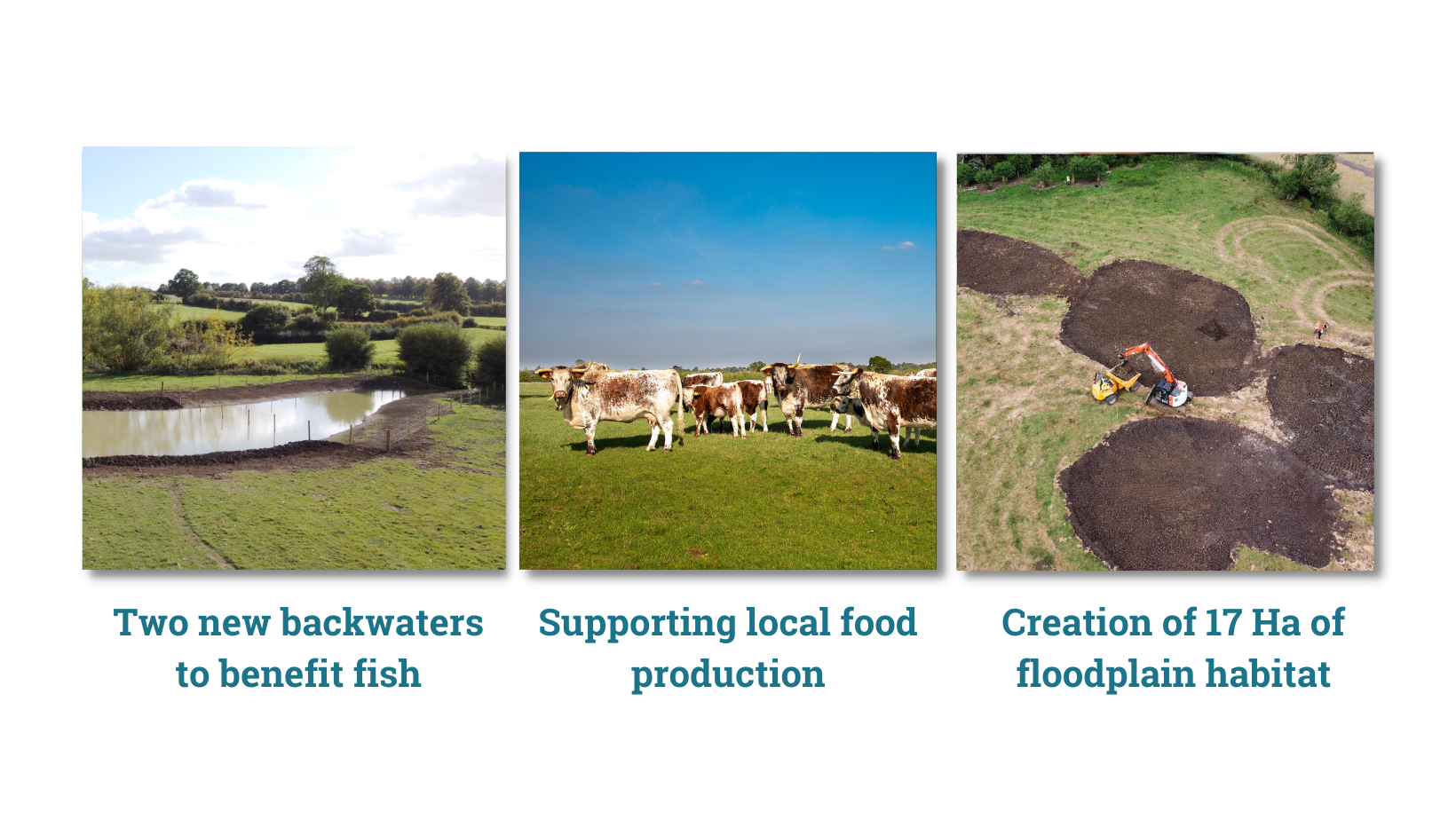 Local farmers combine forces to create the Thame Catchment Farm Cluster