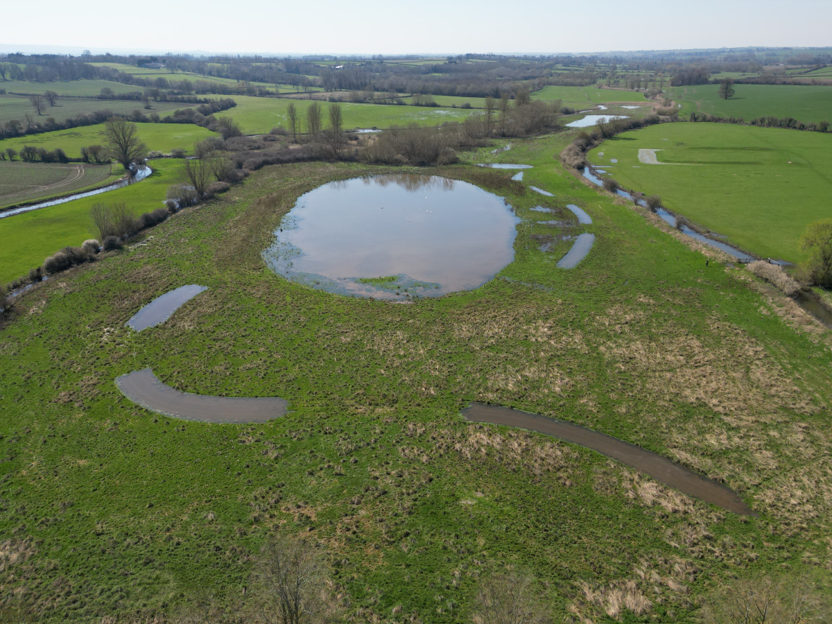 New Local Wildlife Site on the Thame